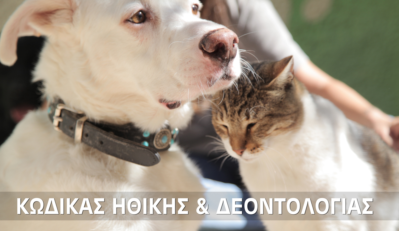 #Κώδικας Δεοντολογίας, Ηθικής & Βέλτιστης Πρακτικής στην Εκπαίδευση των ...