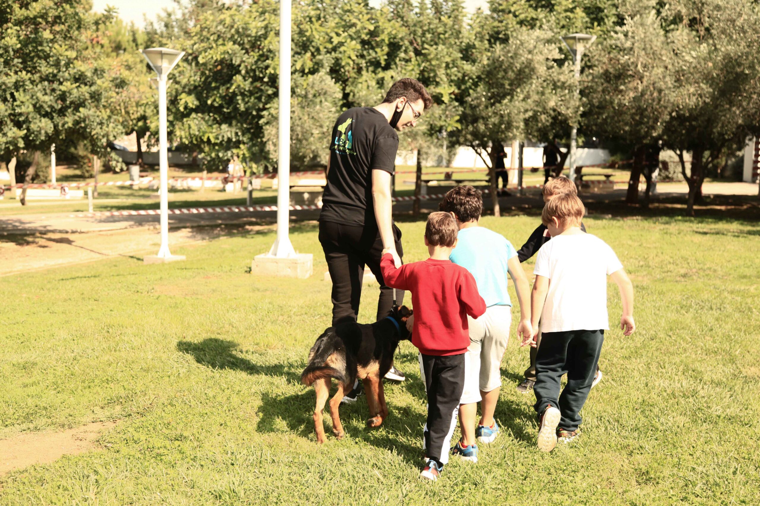 Δωρεάν σεμινάριο για εθελοντές που ασχολούνται με αδέσποτα ζώα ...